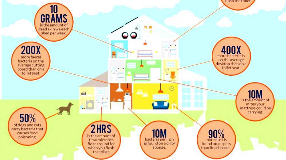 How Clean Is Your House?