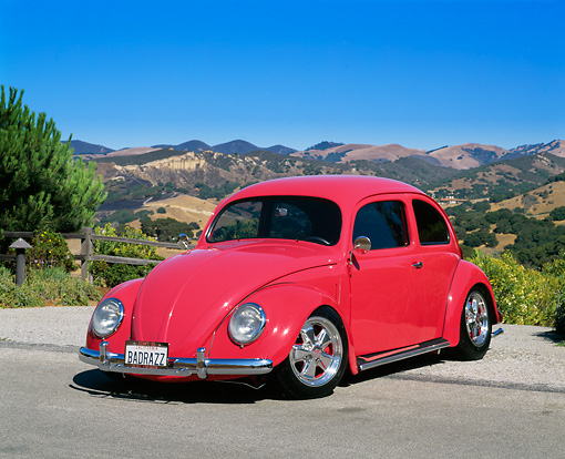 80's to 90's CALIFORNIA LOOK