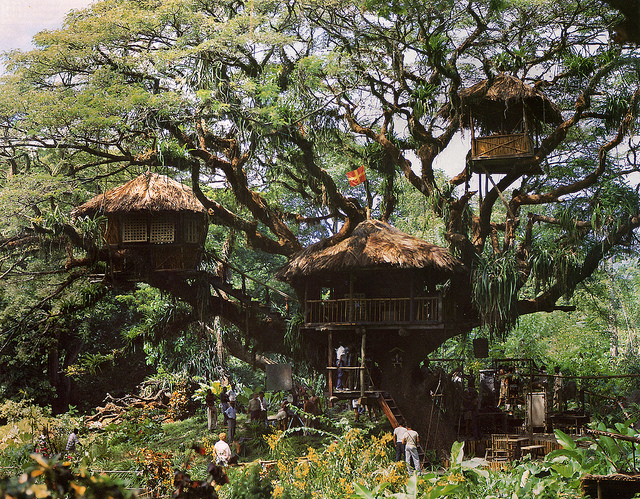 I Love Tree House: Tree House in Movies