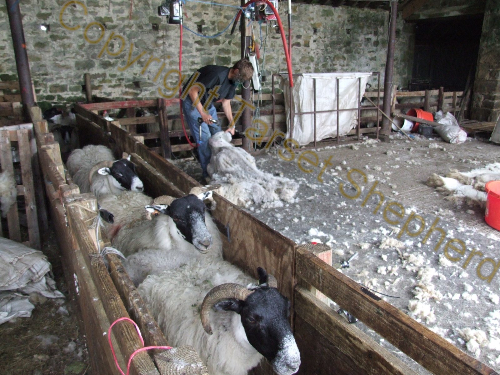 Shepherd's blog: Clipping set ups