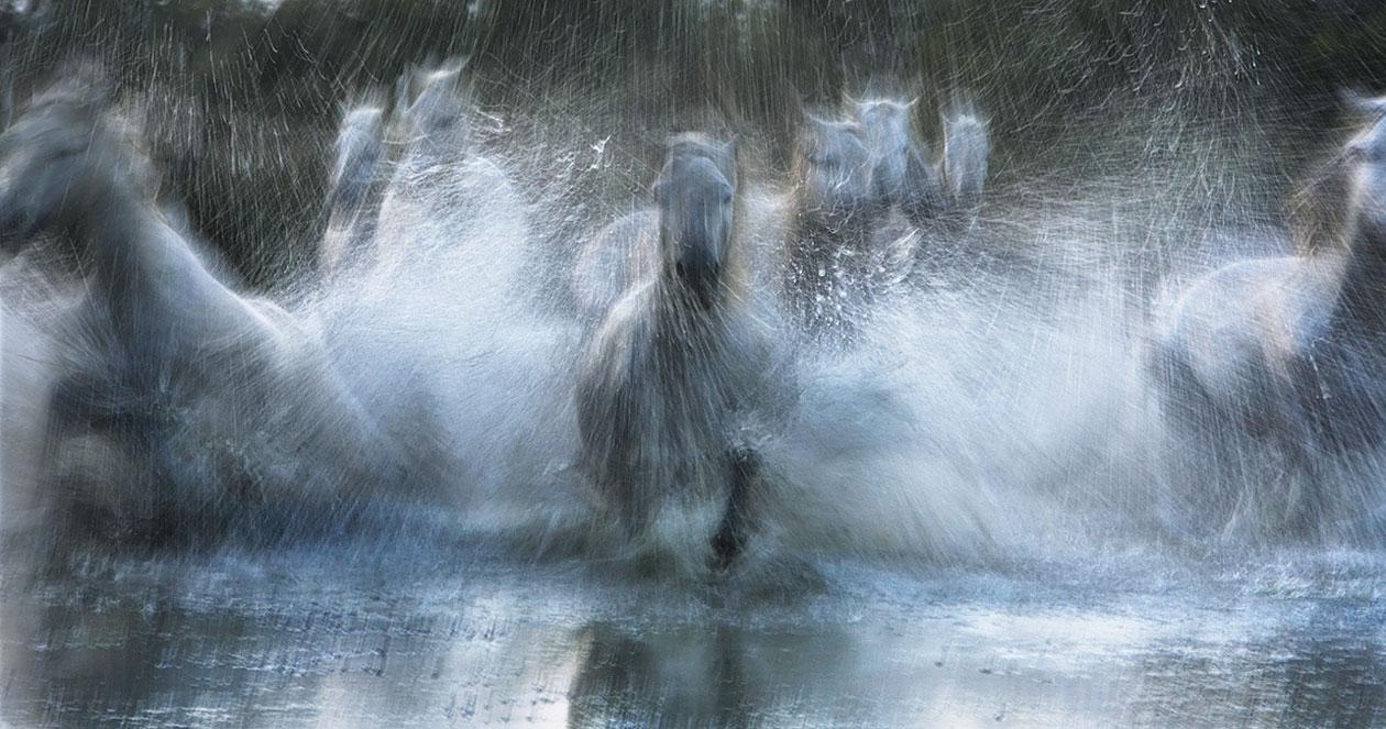 Tim Flach: Equus or the Beauty of the Horse