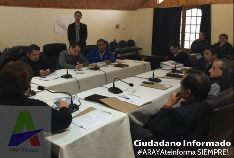 ROBIN ARAYA: RESUMEN: ¿Cual es la función del Concejo Municipal?