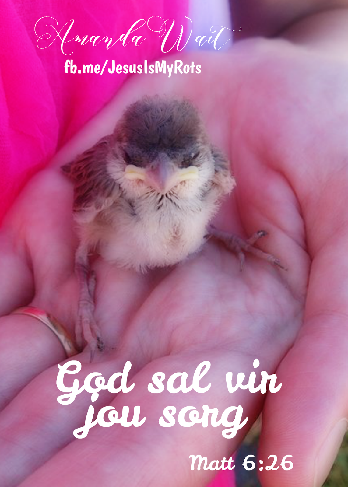 Jesus is my Rots: Ramshoring