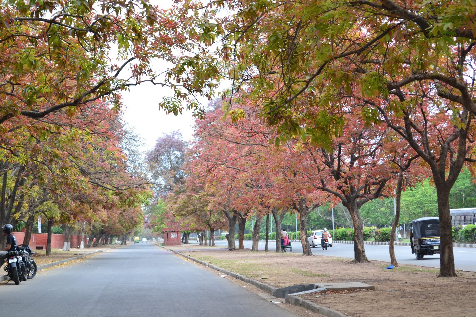 Chandigarh the Most Promising City of India - Chandigarh Weekend ...