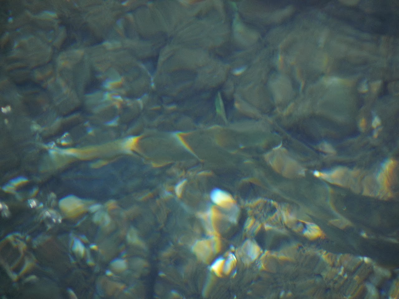 Fish B4U Fly: "Fly" Fishing in China? - Catch and Release in the ...