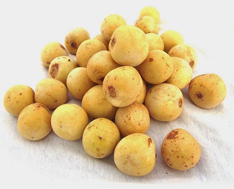 Bilhete de Identidade da Fruta: Fruto Marula