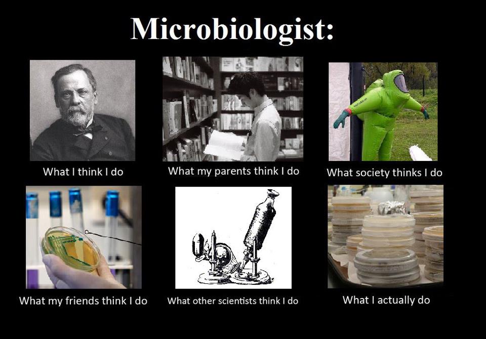 Medical Lab Tech Memes