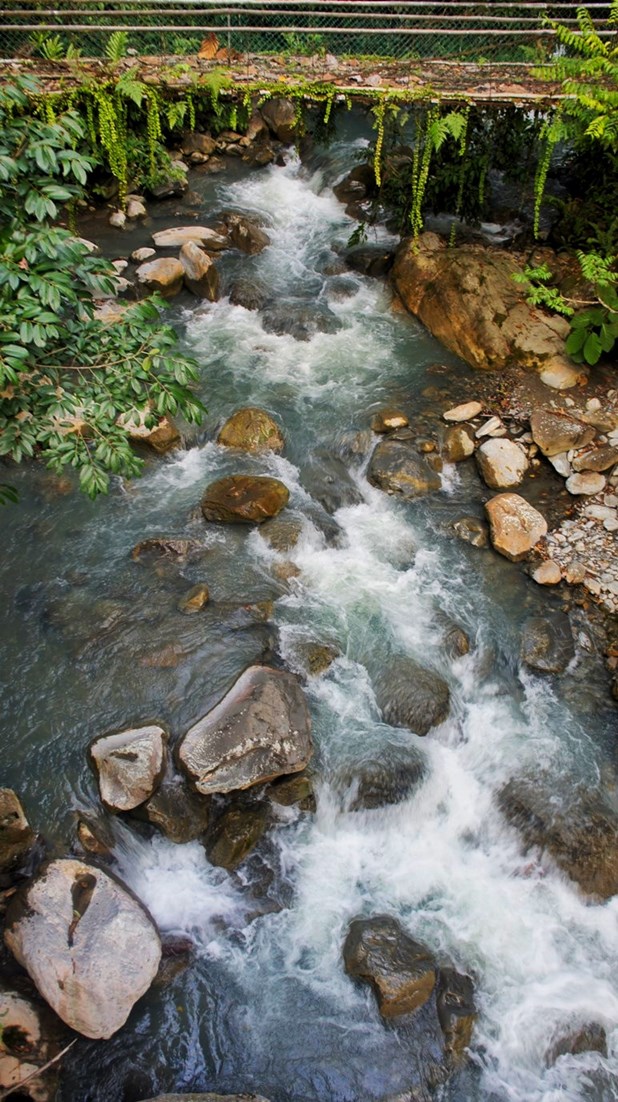 Me, You, Other, Site: Malaysia - Sabah - Ranau (Sabah Tea Garden ...