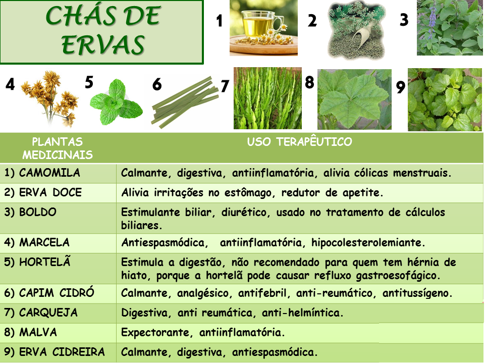 Gerador de Idéias: Remédios Naturais : Dicas de chás Fitoterápicos e ...