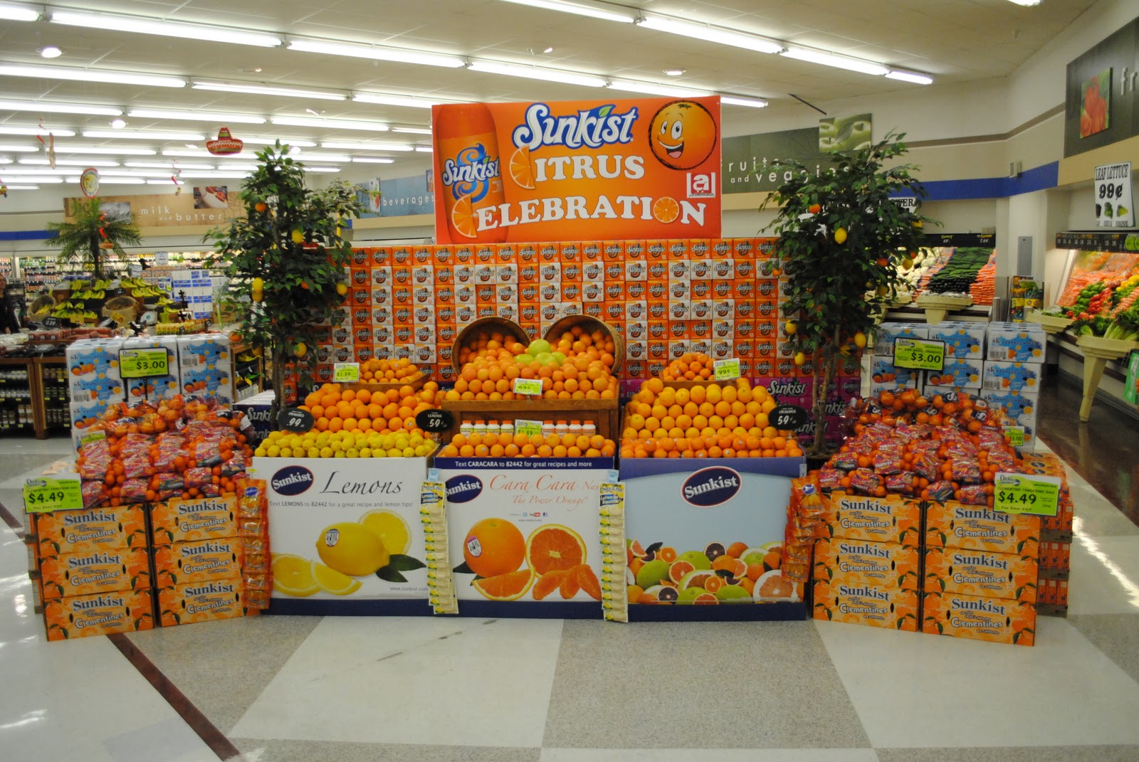 shauna crandall {the photography blog}