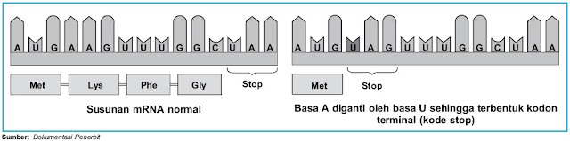 Pintar Pelajaran Pengertian Mutasi Gen Dan Kromosom Biologi, Penyebab ...
