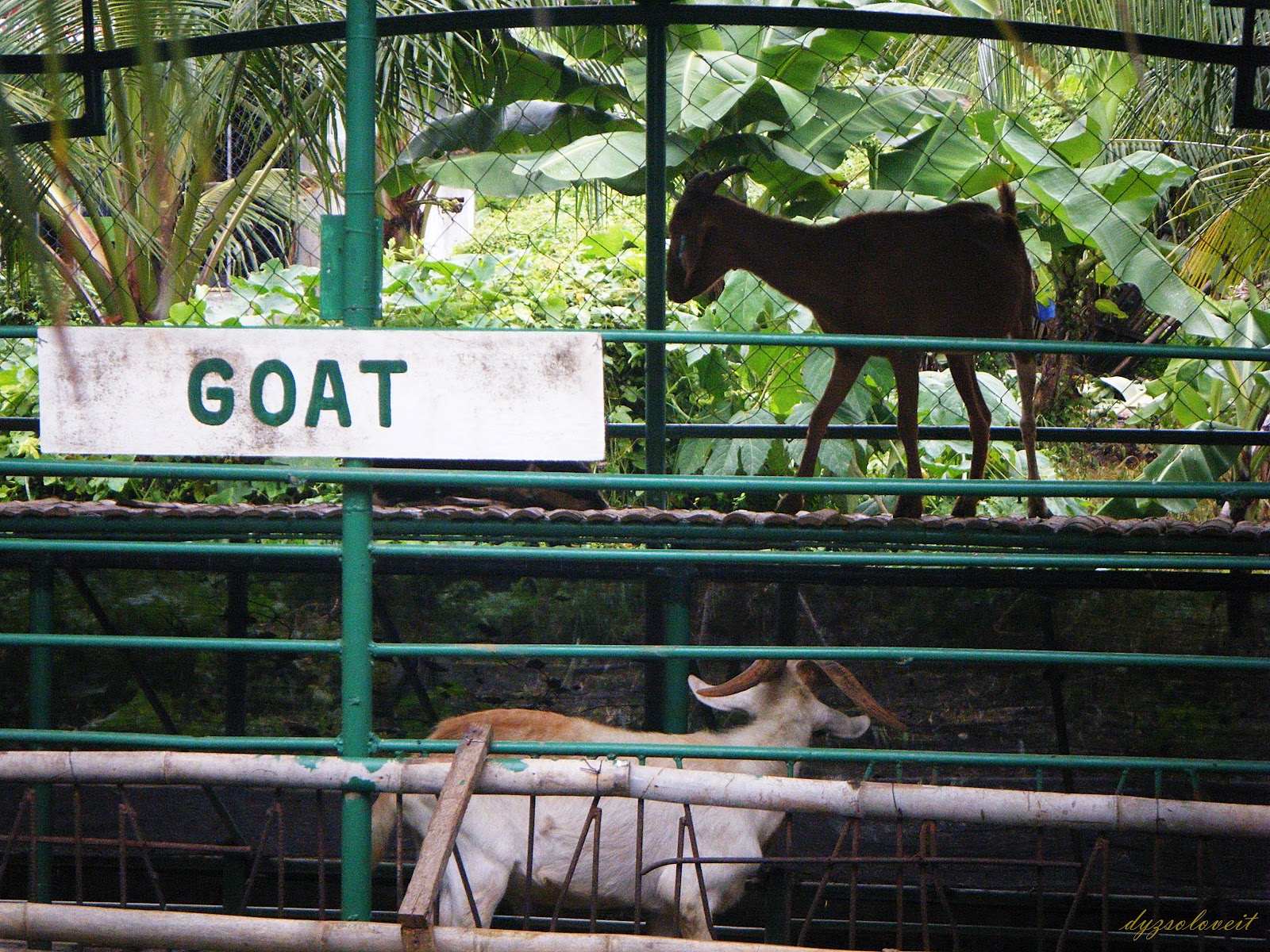 dyzsoloveit: Garin Farm