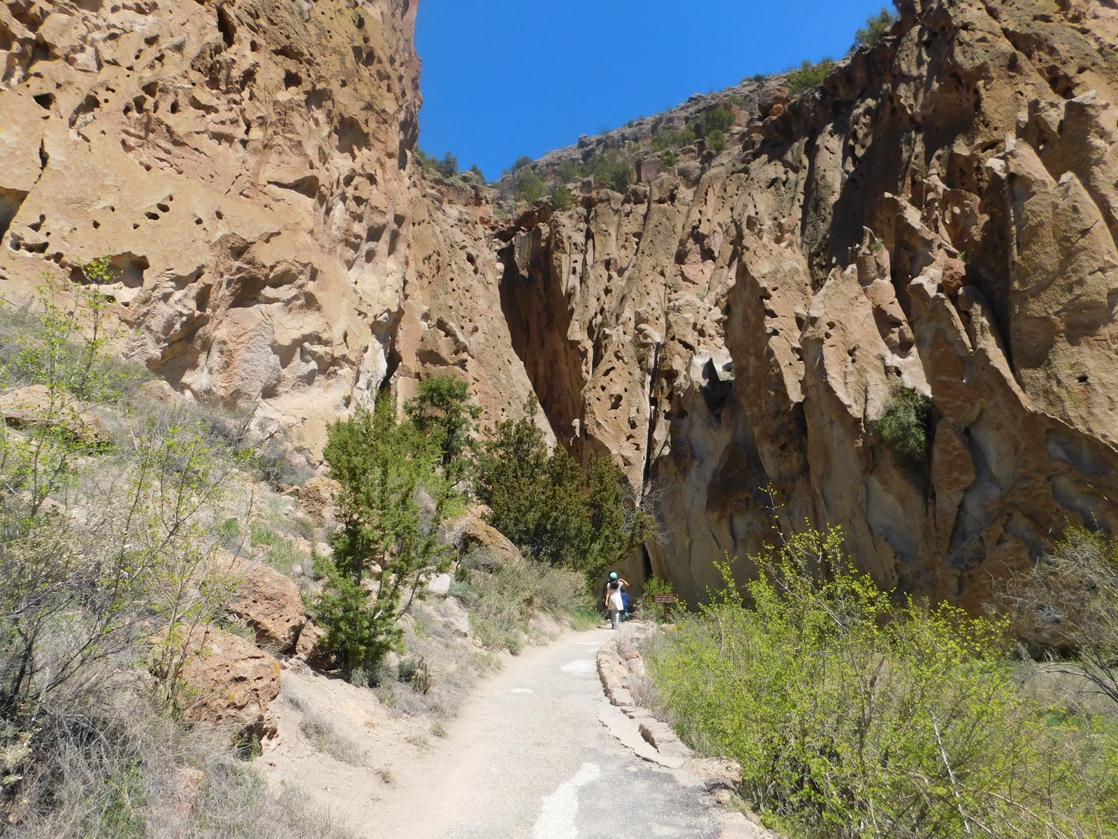Chow and Chatter: Bandelier National Monument, New Mexico
