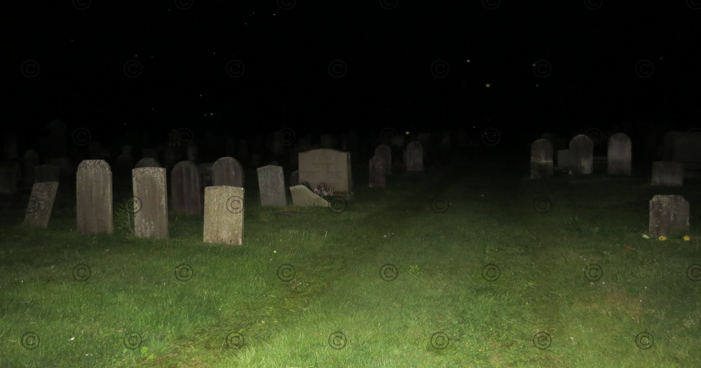 Anne's Creative Cornucopia: "Union Cemetery Orbs" - Photograph