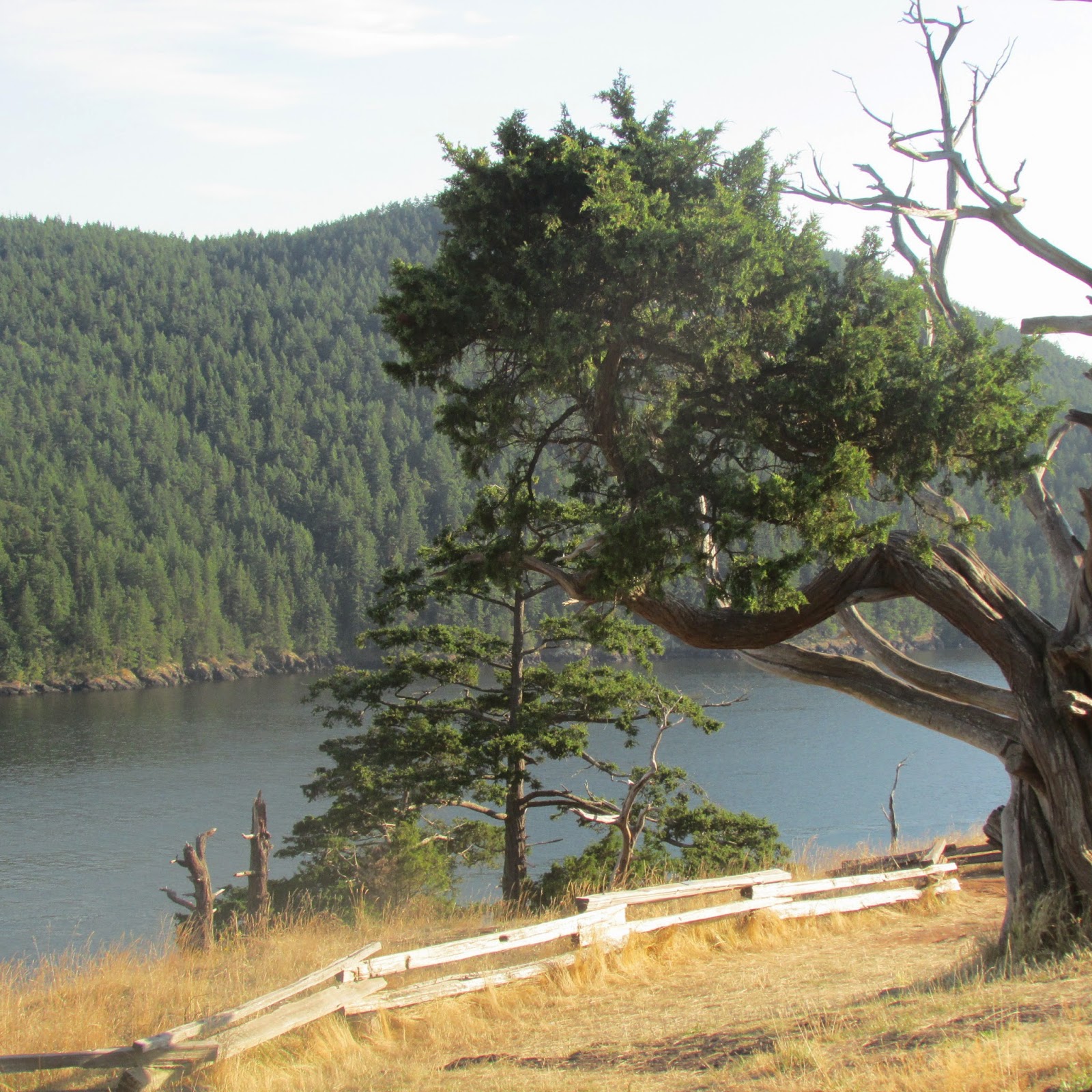A Hike in the Park: Anacortes Kayaking, WA Dreaming