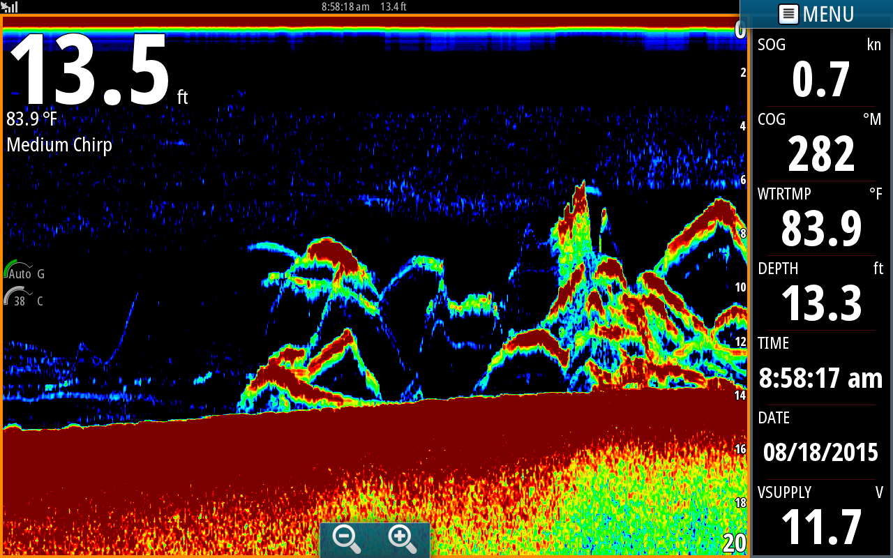 Lake Anna Striper Guide Journal: Navico Screen Shots