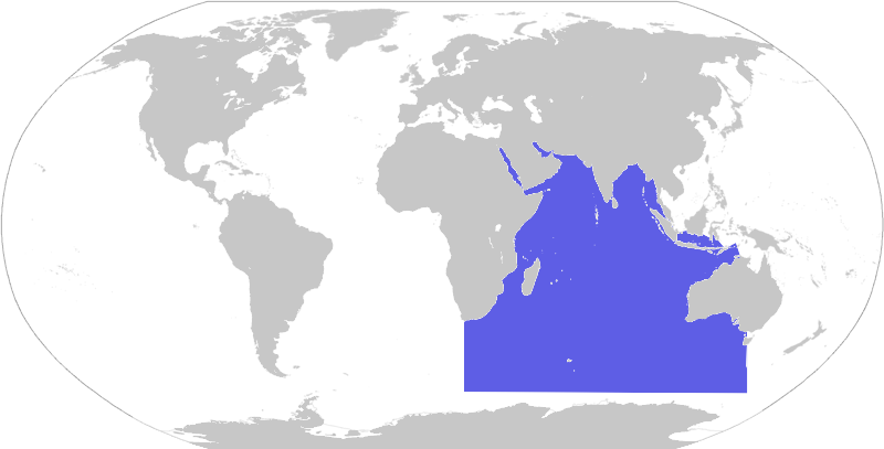 LOS OCEANOS: Océano Índico