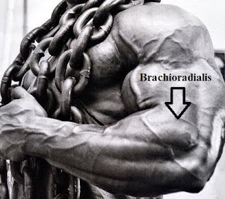 Destination Jacked: Muscle Headquarters : Wrist Leverage Bar Review ...