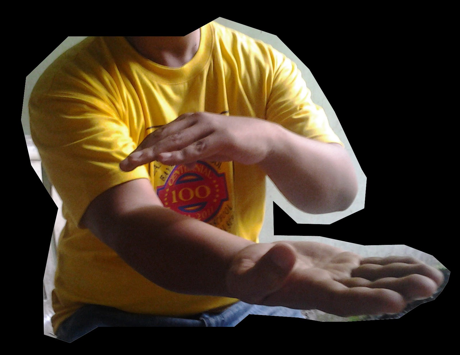 Mantis36: WING CHUN KUNG FU: Alphabets of Techniques