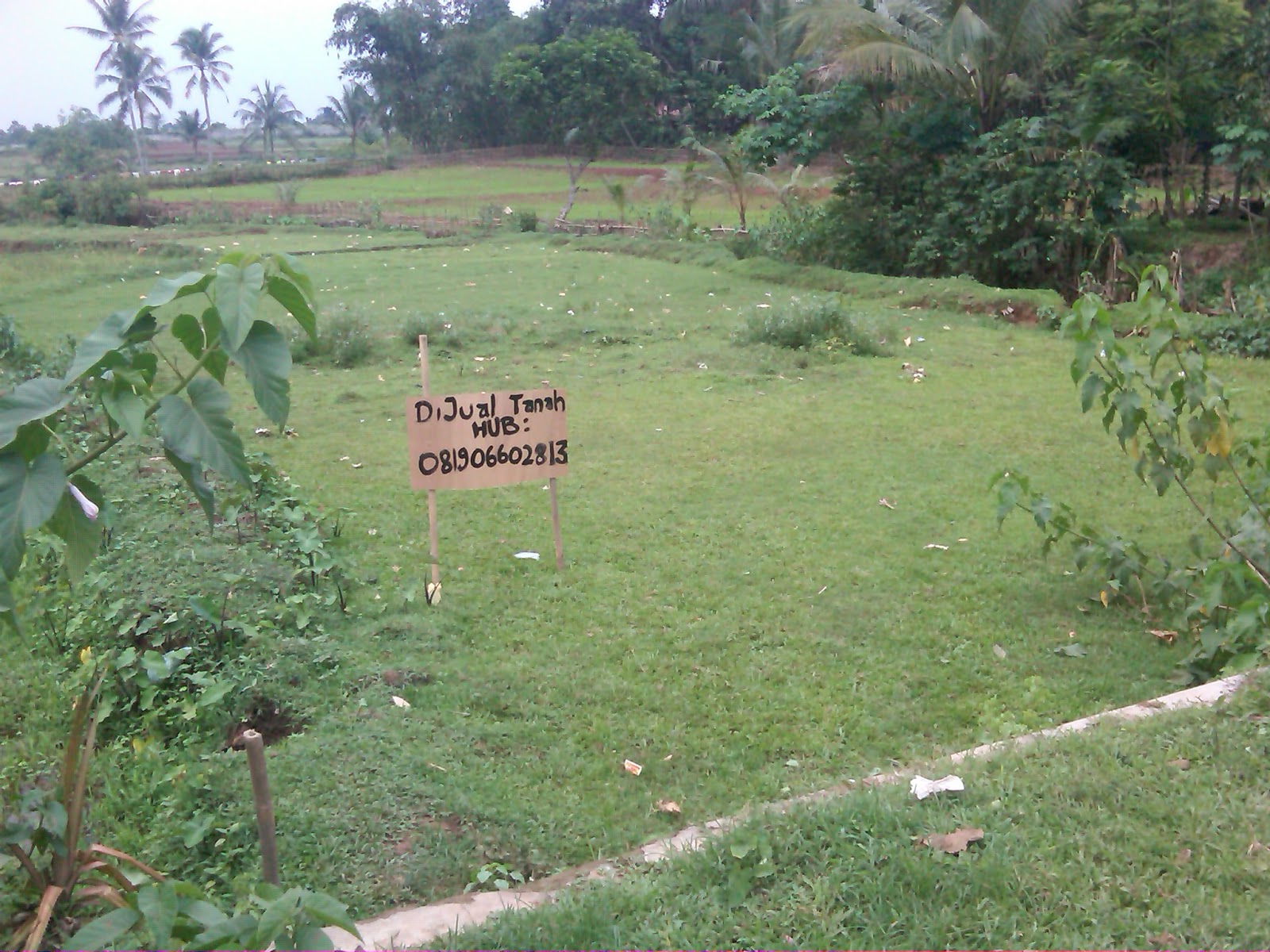 Jual Rumah & Tanah Murah : Jual Tanah Murah & Tanpa Perantara di ... Jual Rumah & Tanah Murah : Jual Tanah Murah & Tanpa Perantara di ...