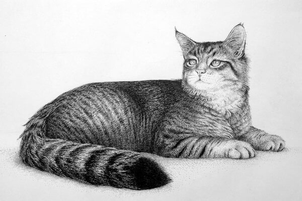 Design Stack: A Blog about Art, Design and Architecture: Animal ...