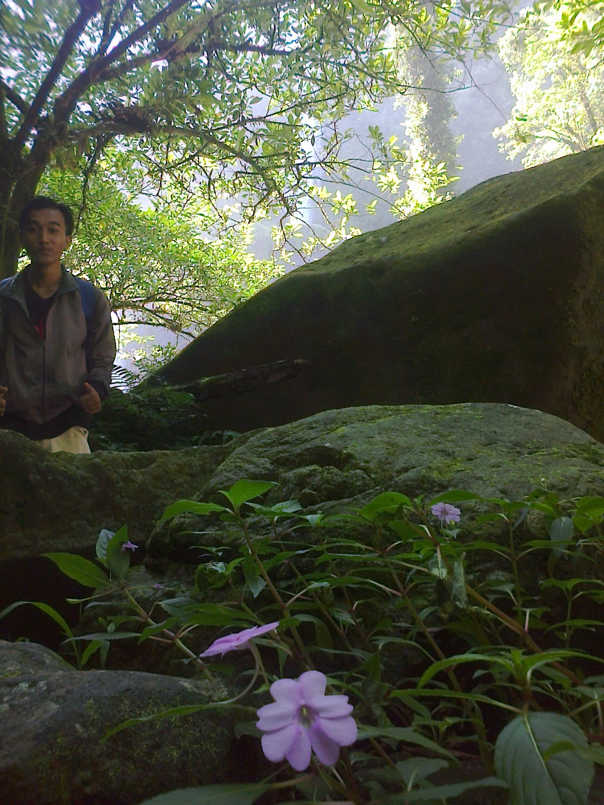 wisata Bengkulu Air Terjun Curug 9 Bengkulu Utara