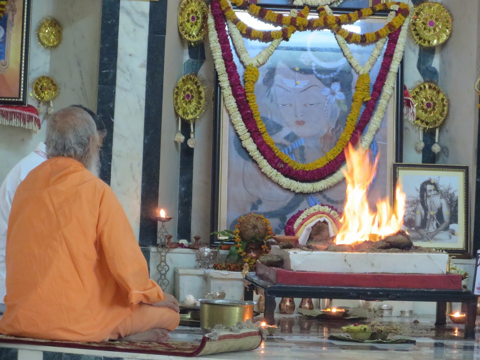 Waltzing Horses: 41st Pahari Baba Ashram Birthday