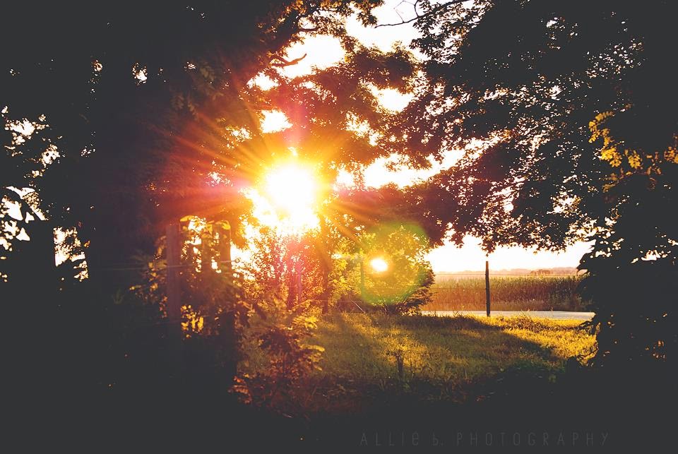 A day in my life! Privizzini's Passion Photography: Sun flare top 10