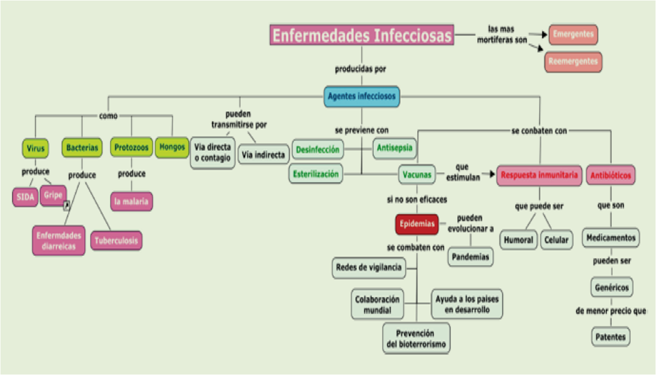 cmc_2012: TEMA 5: ENFERMEDADES INFECCIOSAS