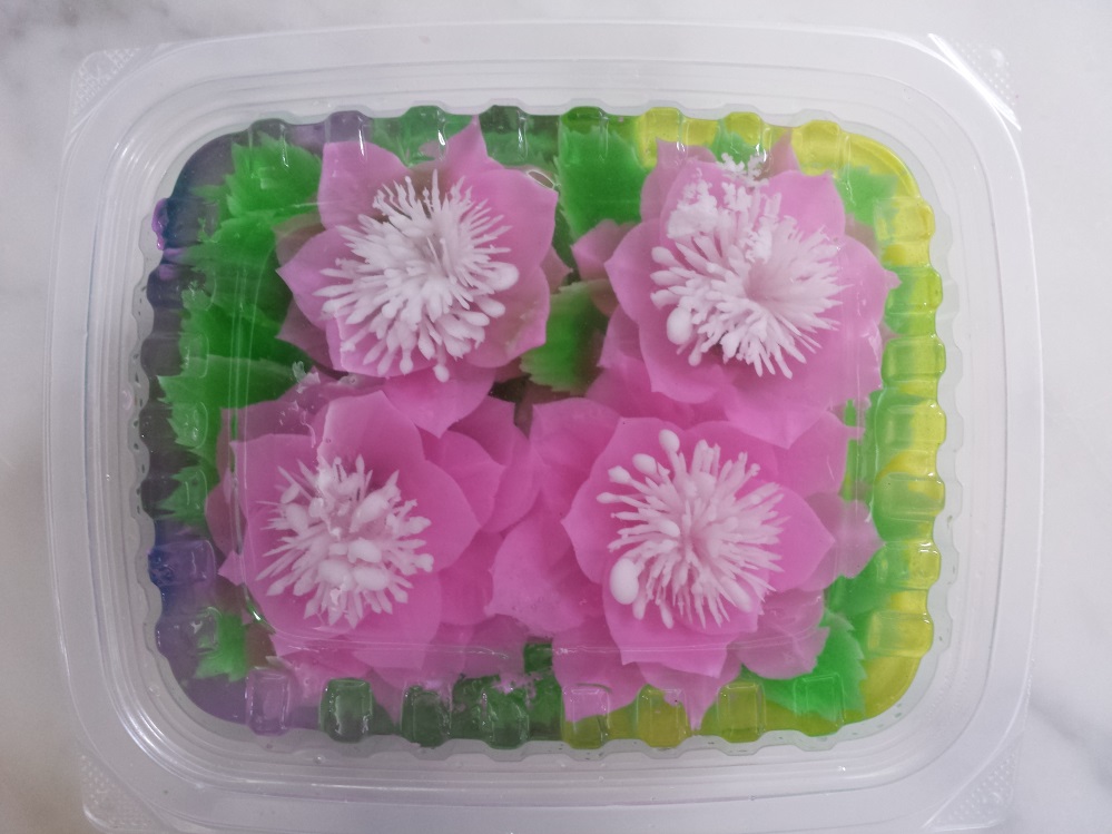 Yochana's Cake Delight! : 3D Jelly Art