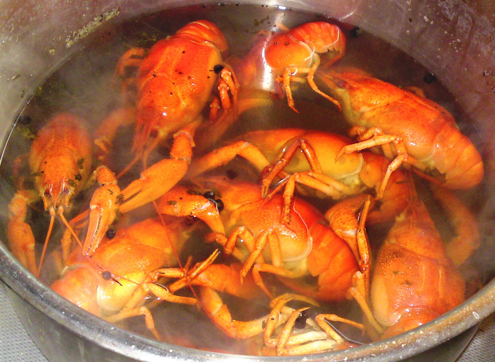 Aici, doar gustul conteaza.....: SALATA DE RACI (CU CIUPERCI)