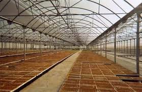 PLANEACION Y CREACION DE UN VIVERO