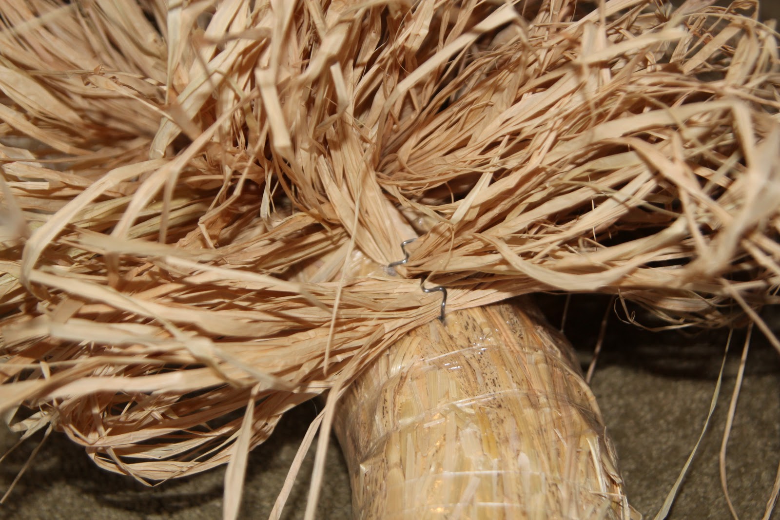 Beyond Betavia: Make an Autumn Raffia Wreath