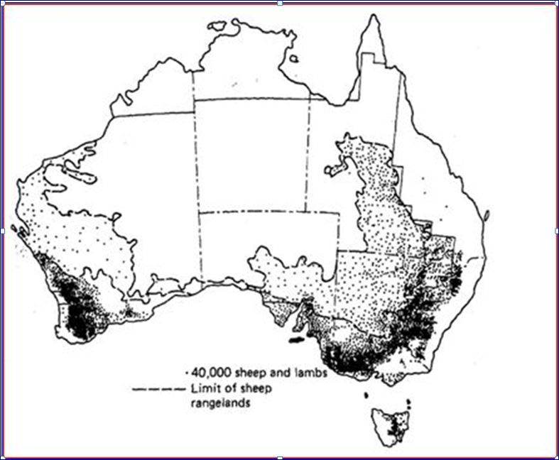 Competition between sheep and kangaroos in Australia