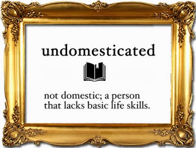 The Undomesticated: WHAT IS THE UD