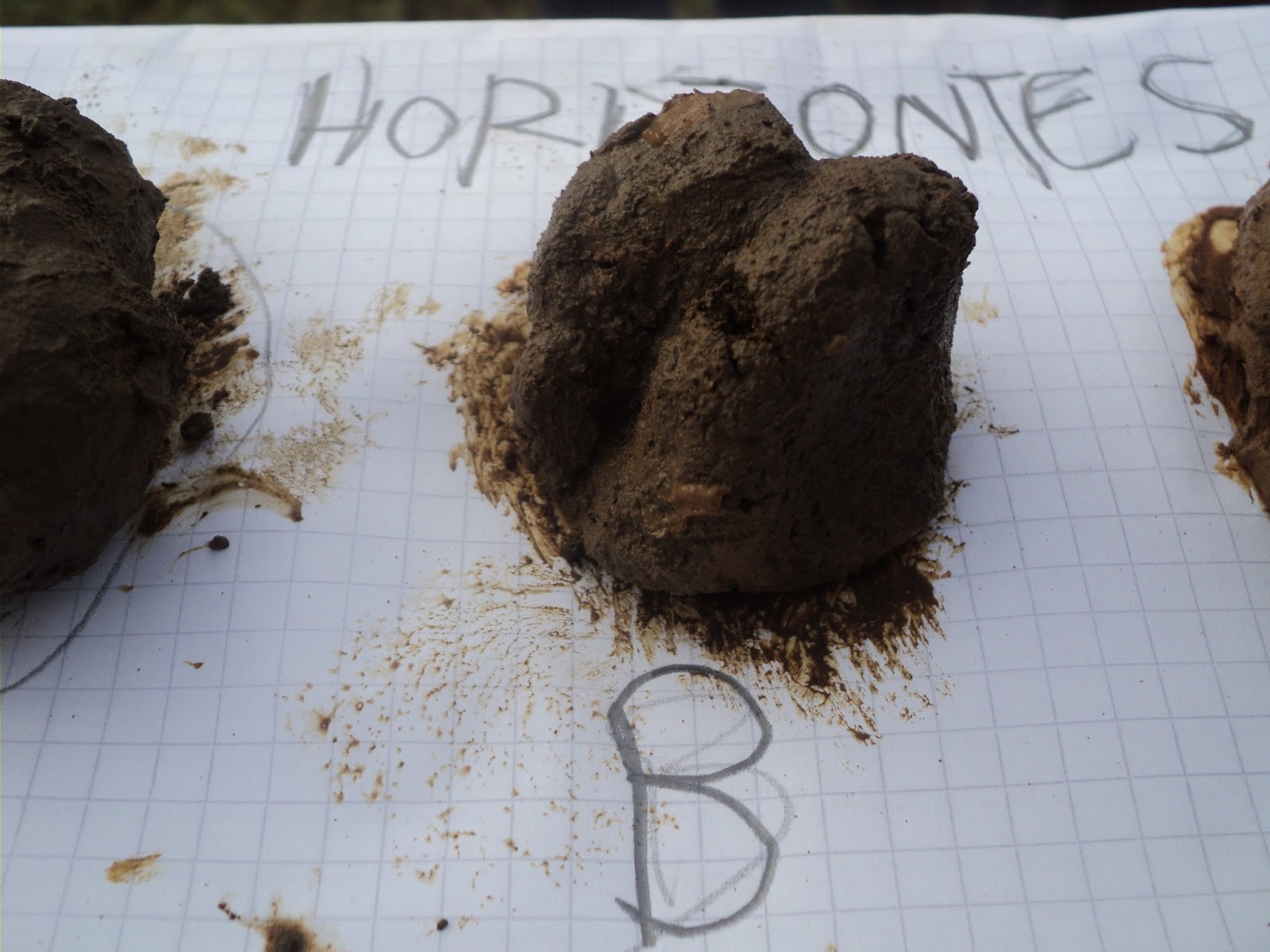 SALIDA PARA LA REALIZACIÓN DE LA CALICATA