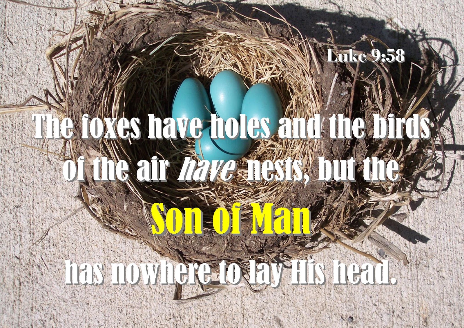 Scarlet Robe Scripture Verses: Luke 9:58