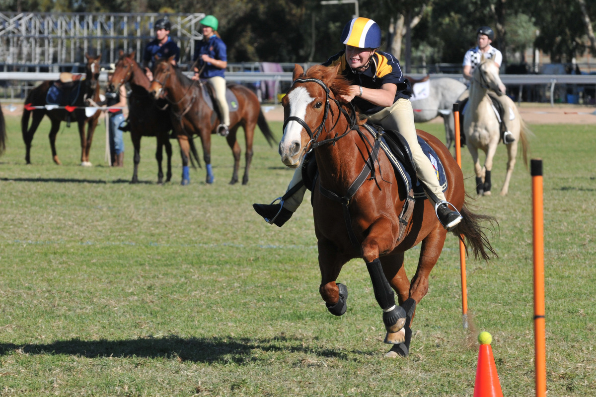 A Photo A Day For 365: 45 -Australian Mounted Games Association Event