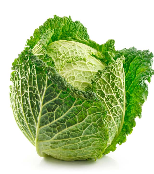 By Garden: GERMINACION DE SEMILLAS DE COLES