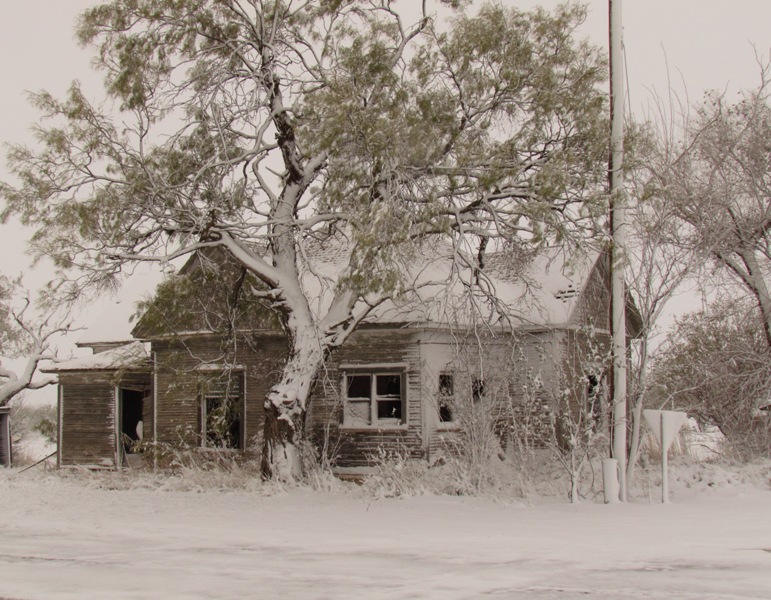 The Hawk's View: Winter Finally Arrived in Fluvanna, TX