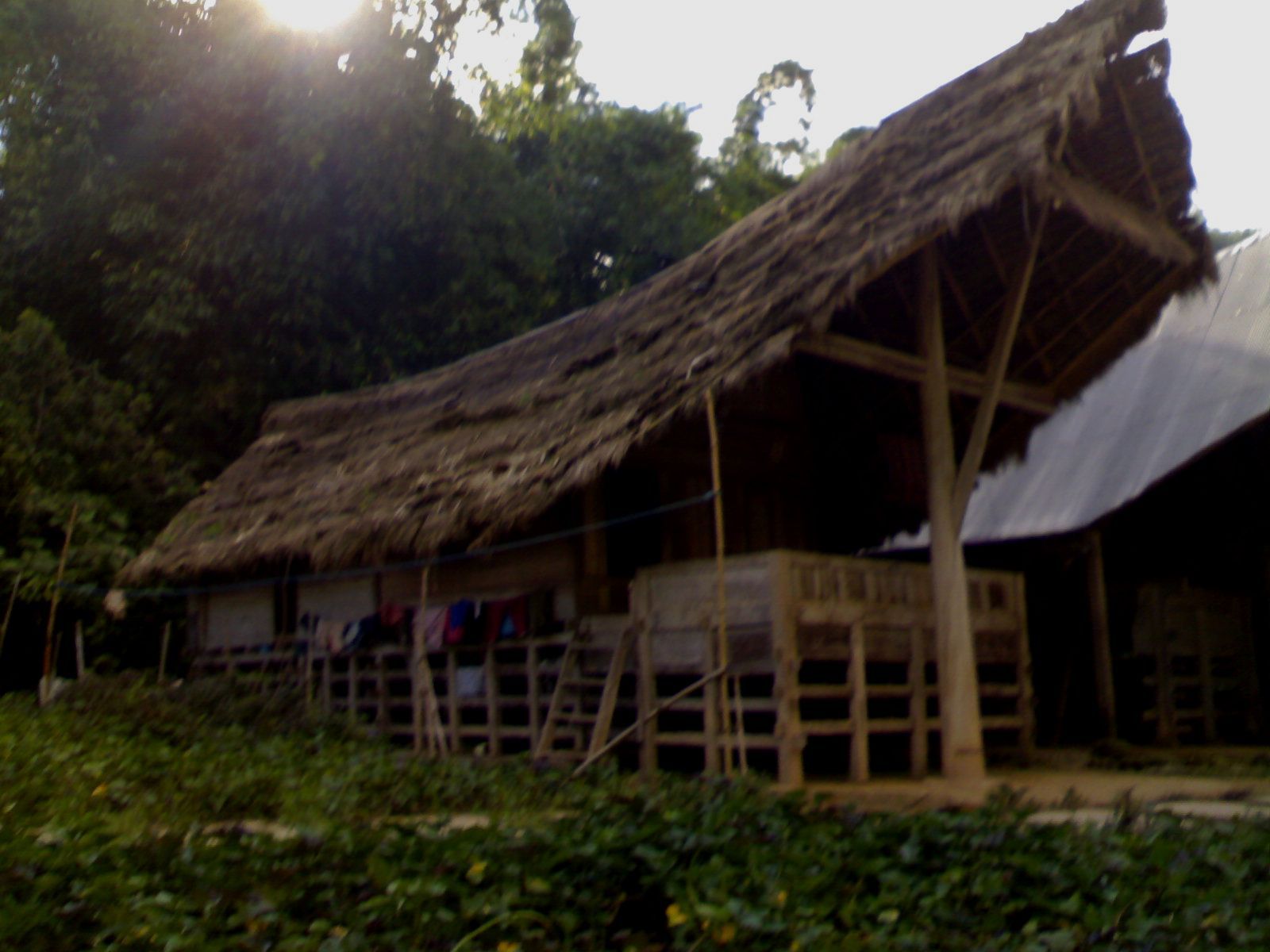 Gema Budaya: Rumah Adat Mamasa Hampir Punah