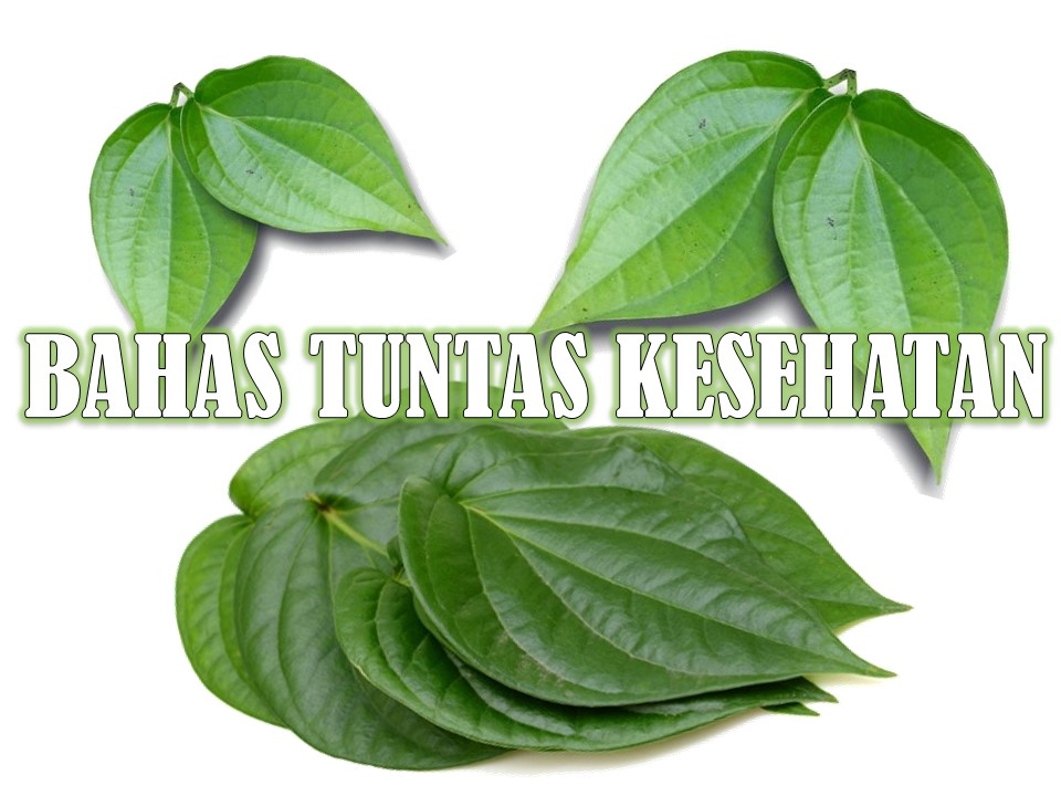 4 Penyebab Penyakit Difteri dan Gejala Difteri - BAHAS TUNTAS KESEHATAN