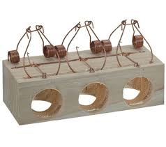 quo vadis...?: El ratón y la ratonera