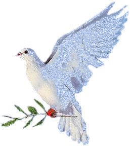 5 Dp Bbm Merpati Bergerak | Gambar Animasi GIF SWF | DP BBM | Animasi ...