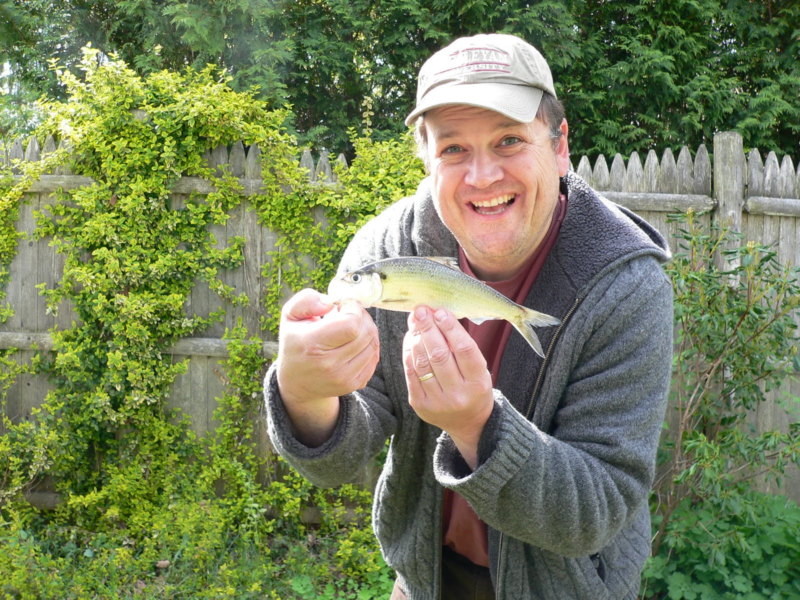 Catch-M-All: Bonus Fish: River Herring