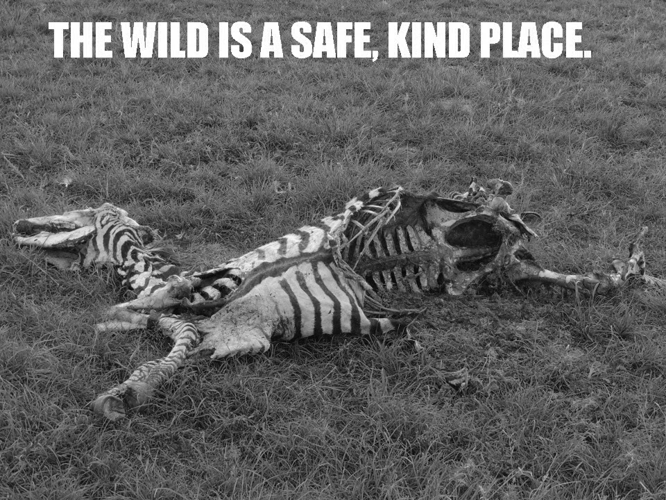 THE ZOO OUTSIDER: Anti-anti-zoo PROPAGANDA. (Graphic)