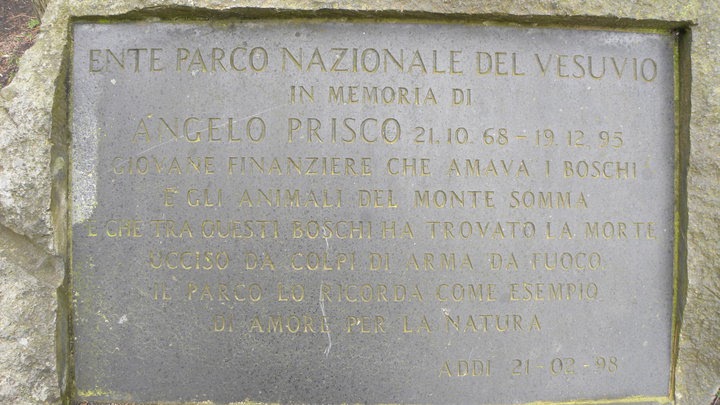 FAIRBANKS-142: Angelo Prisco