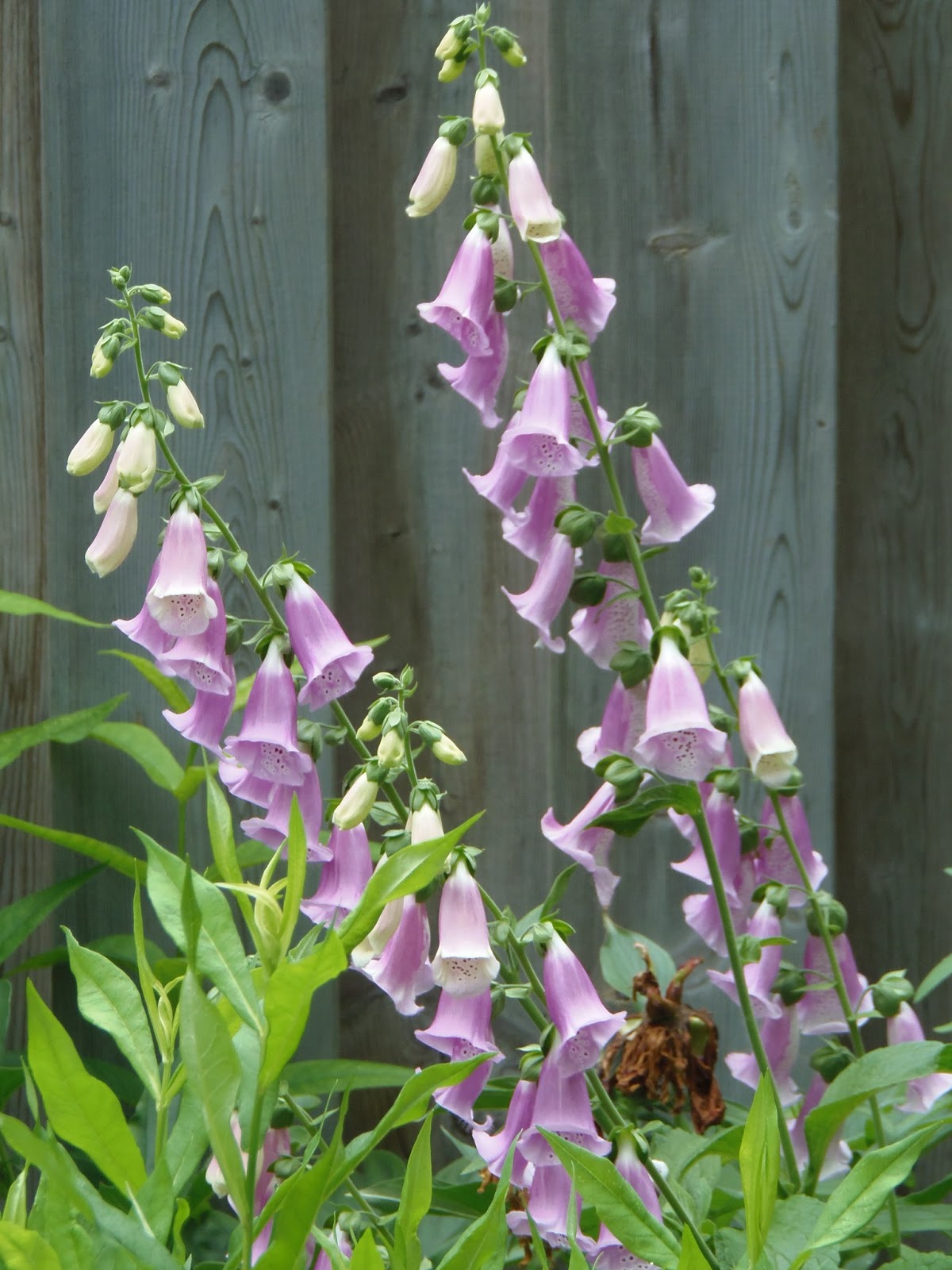Faeries and Fibres: REWIND: Starry Gazey Pie revealed and some how-to tips