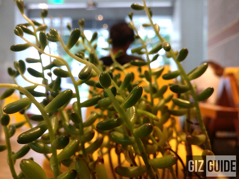 OnePlus 3 Review - The Affordable Flagship Killer For 2016?