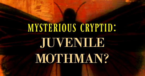 Phantoms and Monsters - Real Cryptid Encounter Reports - Fortean ...